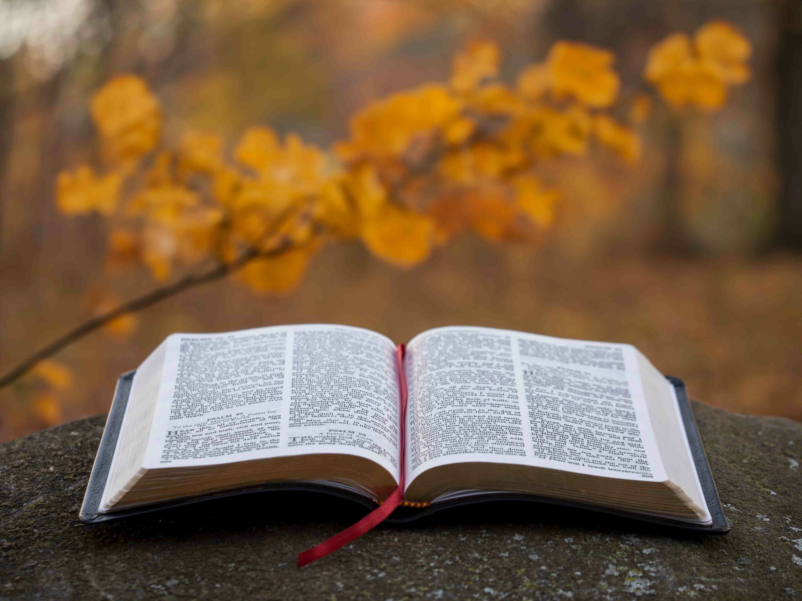 Sufficiency of Scripture - Kuza